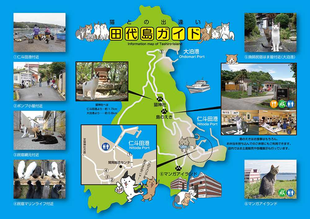 田代島ガイドリニューアル。 | NeCozou.（ケモノの写真作家 小山智一）